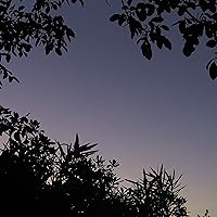 Campos de fresas by Jordi Sierra i Fabra | Goodreads