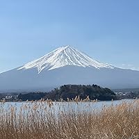 Two Wolves by Tristan Bancks | Goodreads