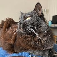 The Sambia: Ritual and Gender in New Guinea by Gilbert Herdt | Goodreads