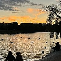 The Necessity of Exile: Essays from a Distance by Shaul Magid | Goodreads