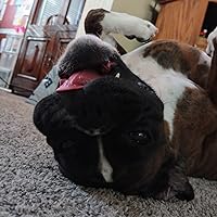 The Only Road by Alexandra Diaz | Goodreads