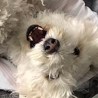 Loathing You by Amina Khan | Goodreads