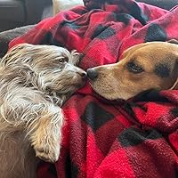 Chunky by Yehudi Mercado | Goodreads