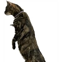 Juice by Tim Winton | Goodreads