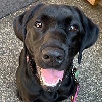 The Bridegroom by Ha Jin | Goodreads