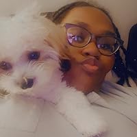 The Perfect Alibi (Jessie Hunt, #8) by Blake Pierce | Goodreads