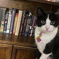 The Second Mrs. Astor by Shana Abe | Goodreads