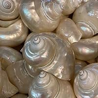 The Secrets We Left Behind by Soraya M. Lane | Goodreads