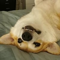 Show, Don't Tell: How to write vivid descriptions, handle backstory ...