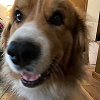 Hello Grief: I'll Be Right with You by Alessandra Olanow | Goodreads