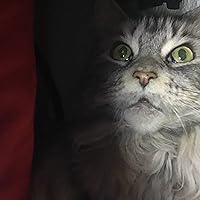 Where the Library Hides (Secrets of the Nile, #2) by Isabel Ibañez ...