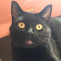 Crabbe by William Bell | Goodreads