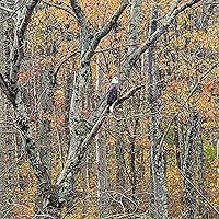 Disquiet Gods (Sun Eater, #6) by Christopher Ruocchio | Goodreads