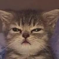 Adrift by Tanya Guerrero | Goodreads