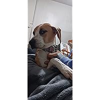 How to Make Sh*t Happen: Make more money, get in better shape, create ...