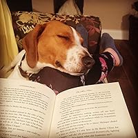 The Ghosts of Rome (Rome Escape Line, #2) by Joseph O'Connor | Goodreads