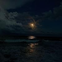 Target (Bodyguard #4) by Chris Bradford | Goodreads