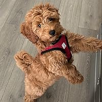 Strange Case Of Dr. Jekyll And Mr. Hyde and Other Stories by Robert ...