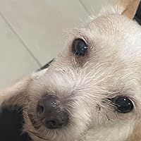 EPTYE: Escuela para trastornos y enfermedades by Mei Ivens | Goodreads