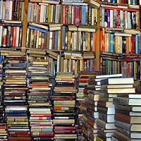 SeaMan: The Dog Who Explored The West With Lewis & Clark by Gail Langer ...