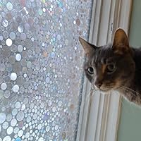 Jessie Elliot Is a Big Chicken by Elise Gravel | Goodreads