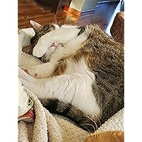 Absolution (Southern Reach, #4) by Jeff VanderMeer | Goodreads