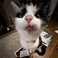 Crypt: Life, Death and Disease in the Middle Ages and Beyond by Alice ...