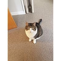 Class A (CHERUB, #2) by Robert Muchamore | Goodreads