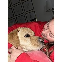 Spring Tide (Coastal University, #1) by Ki Stephens | Goodreads