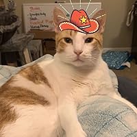 Sarah Bishop by Scott O'Dell | Goodreads