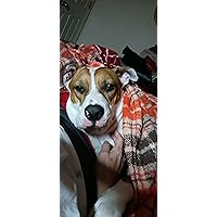 Blood Sympathy (Joe Sixsmith, #1) by Reginald Hill | Goodreads