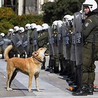 Sprout Lands: Tending the Endless Gift of Trees by William Bryant Logan ...