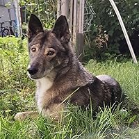 An Atlas of the Difficult World by Adrienne Rich | Goodreads