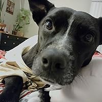 A Troubling in My Soul by Emilie M. Townes | Goodreads