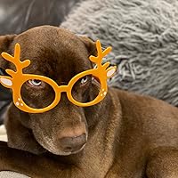 Egghead by Caroline Pignat | Goodreads