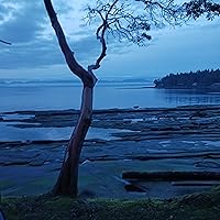 Meow (The Meow Library) by Sam Austen | Goodreads