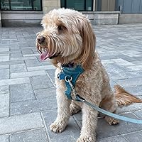 There's Lead in Your Lipstick: Toxins in Our Everyday Body Care and How ...