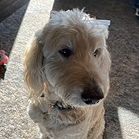 Hero by S.L. Rottman | Goodreads