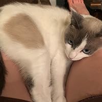 No Name Woman by Maxine Hong Kingston | Goodreads