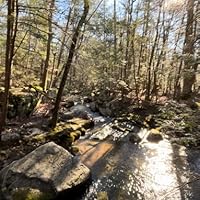 The Buffalo Are Back by Jean Craighead George | Goodreads