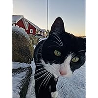 Tortured by Victoria Spry | Goodreads