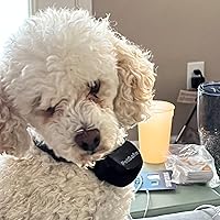 The Elders' Quest (Warriors: Changing Skies, #1) by Erin Hunter | Goodreads