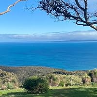 The Tell by Martin Ed Chatterton | Goodreads