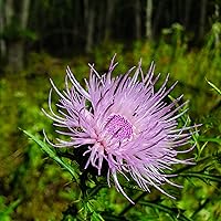 Summer People by Brian Groh | Goodreads