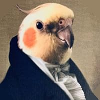 Grumpy Badger's Christmas by Paul Bright | Goodreads