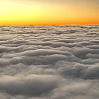 The Princess and the Pee by Effua Gleed | Goodreads