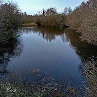 The Takeover by Stephen W. Frey | Goodreads