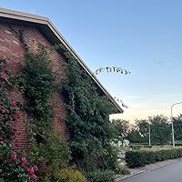 Give a Boy a Gun by Todd Strasser | Goodreads