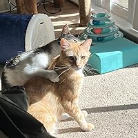 Complexity: A Guided Tour by Melanie Mitchell | Goodreads