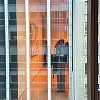 Misbelief: What Makes Rational People Believe Irrational Things by Dan ...